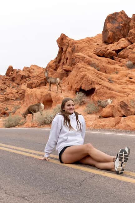 Las Vegas: Valley of Fire and Red Rock Canyon Day Trip - Why This Tour Stands Out