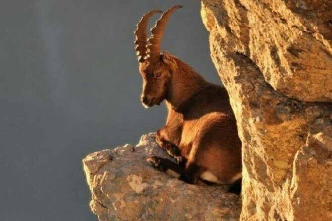 Lasithi Plateau Traditional Vilages - The Itinerary in Detail