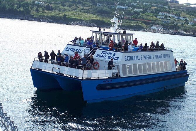 Late Season Puffin & Scenic Coastal Cruise - FAQ