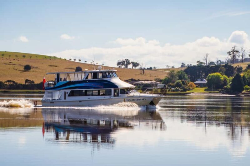 Launceston: 4-Hour Batman Bridge Luncheon Cruise - Food and Drink: Is It Worth It?