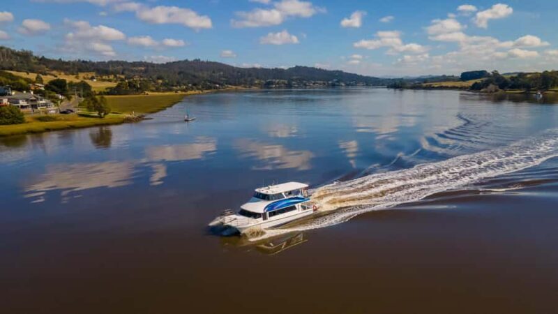 Launceston: 4-Hour Batman Bridge Luncheon Cruise - Group Size and Atmosphere