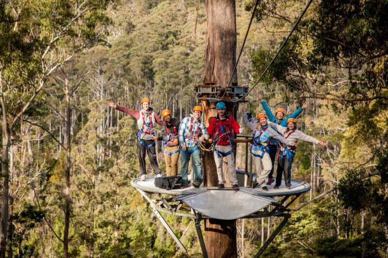 Launceston: Hollybank Forest Treetop Zip Lining with Guide - Key Points