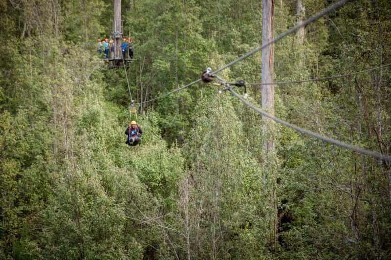 Launceston: Hollybank Forest Treetop Zip Lining with Guide - Final Thoughts