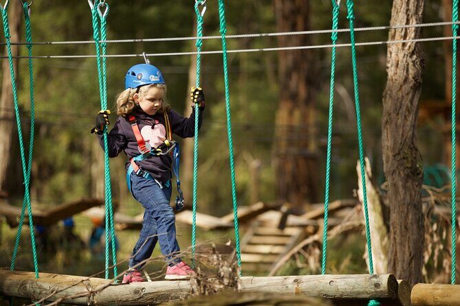 Launceston Hollybank Junior Tree Ropes Course - Key Points