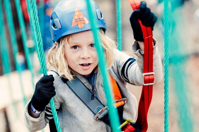 Launceston Hollybank Junior Tree Ropes Course - An In-Depth Look at the Hollybank Junior Tree Ropes Course