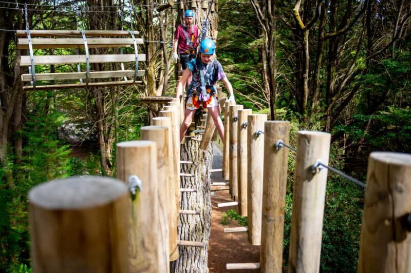 Launceston: Hollybank Tree Ropes Course - Key Points