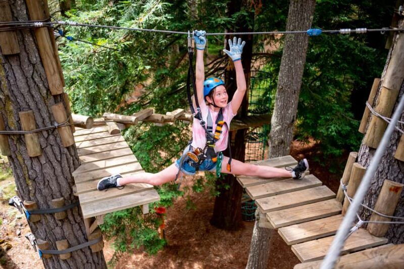 Launceston: Hollybank Tree Ropes Course - What to Expect During the Visit