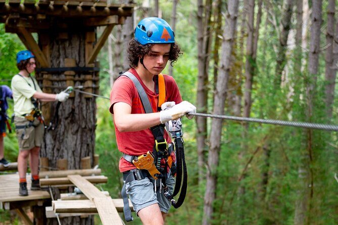 Launceston Hollybank Tree Ropes Experience - Practical Details to Keep in Mind