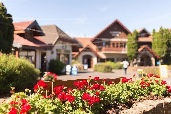 Launceston Private Charter Service (3 days in advance - Exploring Launceston with a Private Touch