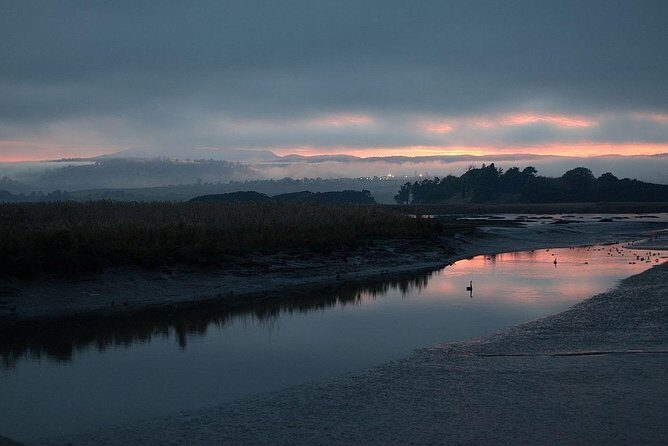 Launceston Private Charter Service (3 days in advance - Why Choose This Tour?