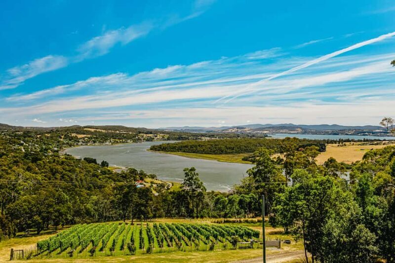 Launceston: Tamar Valley Wine Tour with Lunch - Who Is This Tour Best For?