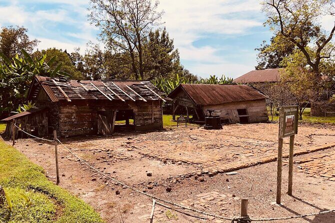 Laura Plantation Half-Day Tour from New Orleans - Key Points
