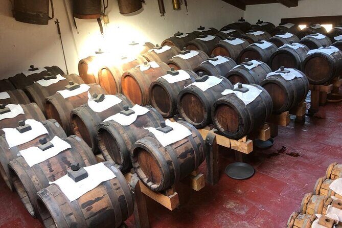 Laura's Private Parma Food Tour with Pick Up (no bus) - Lunch and Additional Highlights