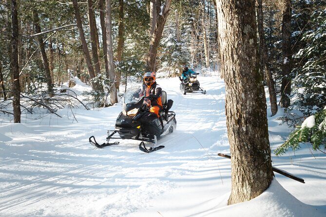 Laurentians: Guided excursion by snowmobile - The Sum Up