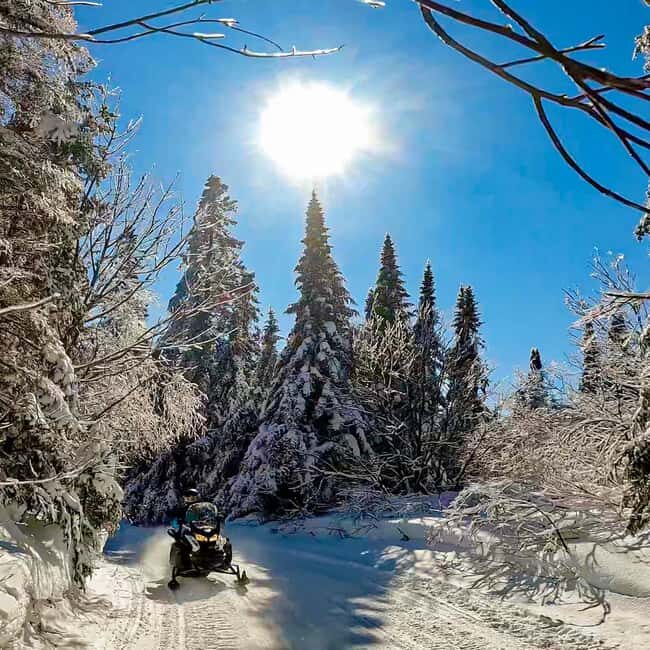 Laurentians: Snowmobile Guided Tour - The Itinerary and What to Expect on the Snowmobile Tour