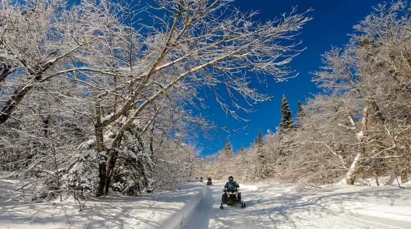 Laurentians: Snowmobile Guided Tour - Who Would Enjoy This Experience?