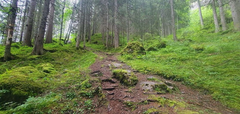 Lauterbrunnen: Private Walking Tour with an Irish Guide - Why Choose This Tour?