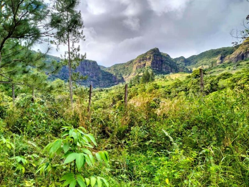 Lautoka: Abaca Waterfall Hike and Swim Day Trip - Lautoka: Abaca Waterfall Hike and Swim Day Trip – A Detailed Review