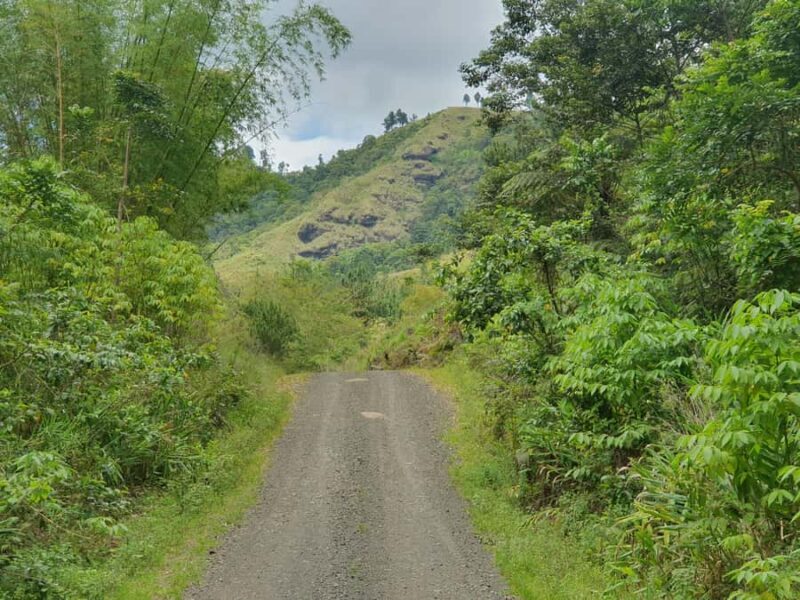 Lautoka: Abaca Waterfall Hike and Swim Day Trip - Key Points