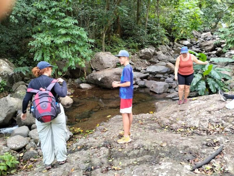 Lautoka: Abaca Waterfall Hike and Swim Day Trip - Who Is This Tour Best For?