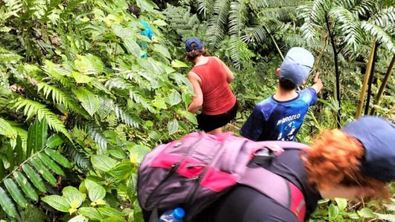 Lautoka: Abaca Waterfall Hike and Swim Day Trip - Final Words