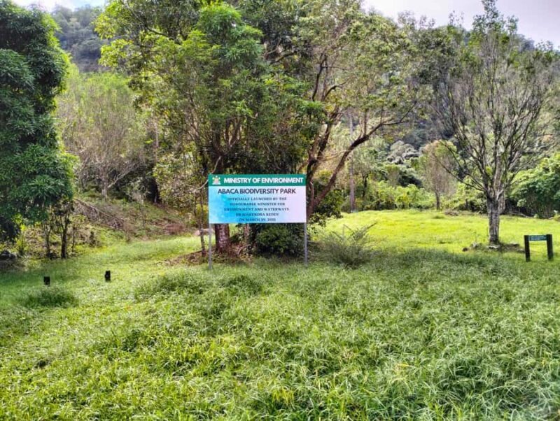 Lautoka CruiseShip Port to Abaca Waterfall Hiking Round Trip - Exploring the Lautoka Cruise Ship Port to Abaca Waterfall Hiking Round Trip