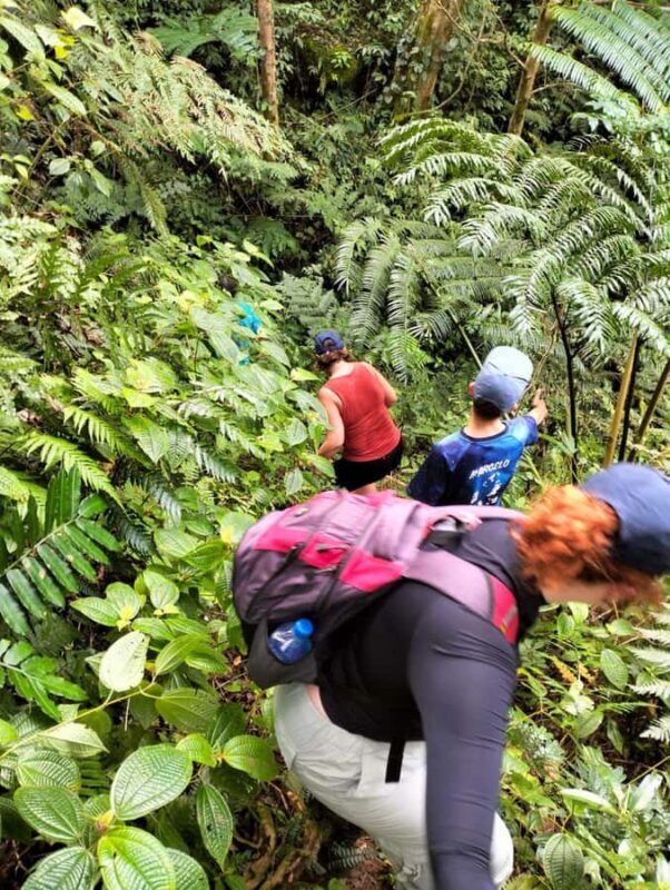 Lautoka CruiseShip Port to Abaca Waterfall Hiking Round Trip - The Value for Travelers