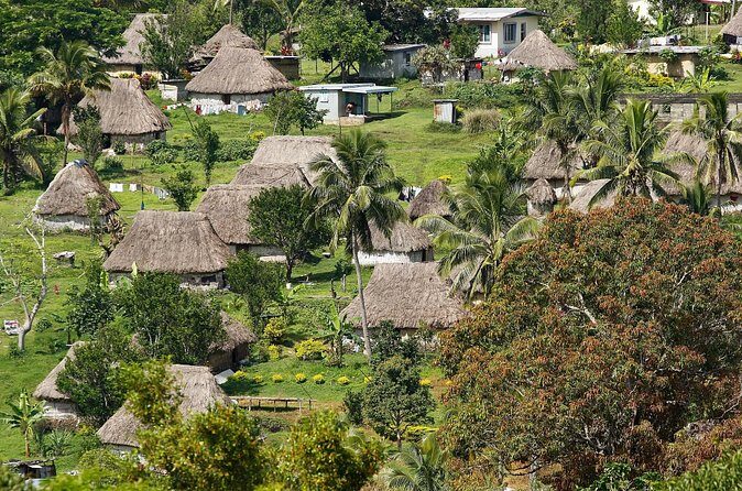 Lautoka Orchids & Village Life: Private Shore Tour 4 Hours - Final Thoughts