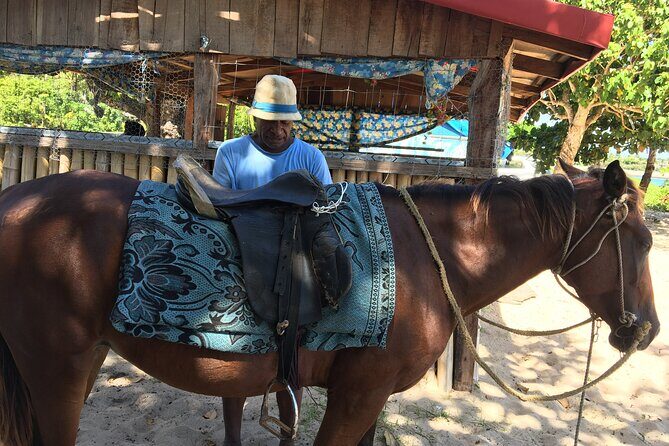 Lautoka Shore Excursions to Natadola Beach Round Trip - Who Is This Tour Best Suited For?