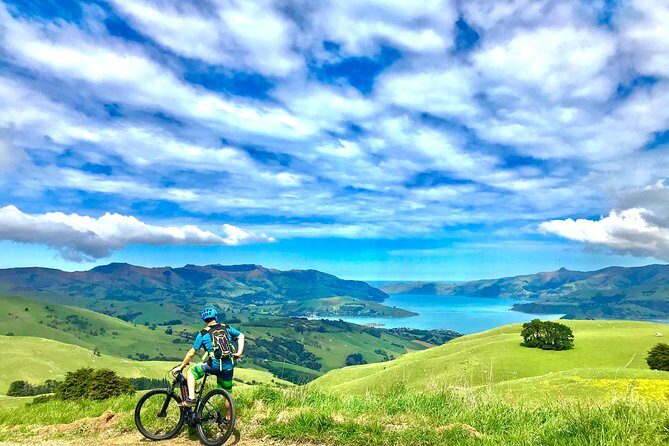 Lava Loop- Guided electric mountain bike tour in Akaroa - Why the Lava Loop E-bike Tour Stands Out
