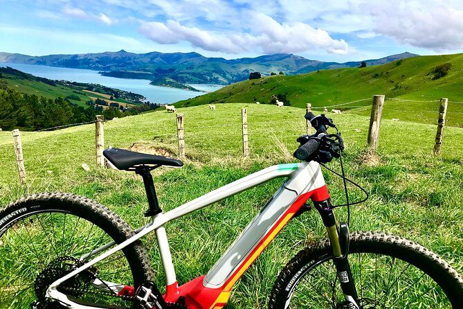Lava Loop- Guided electric mountain bike tour in Akaroa - The Group Experience and Guides