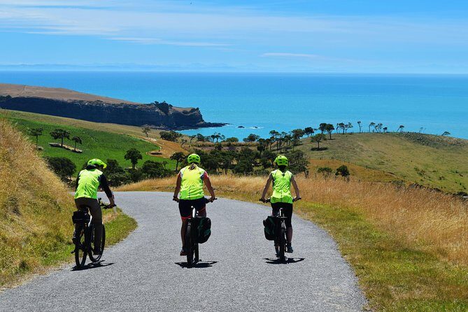 Lava Loop- Guided electric mountain bike tour in Akaroa - FAQs