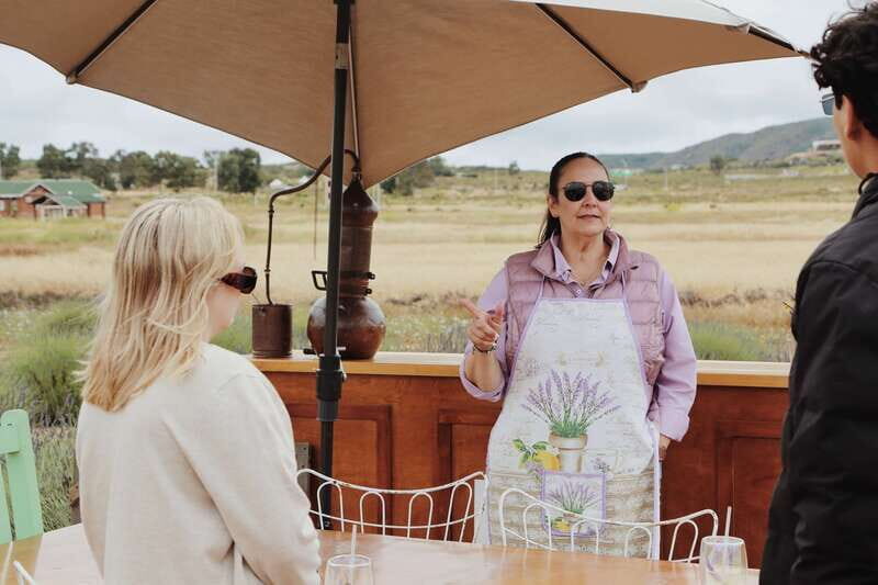 Lavender Experience Valle de Guadalupe - Guided Field Tour - Who Should Consider This Tour?