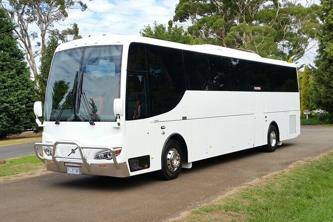 Lavender Farm - Bridestowe Festival of Flowers - Final Thoughts: Is It Worth It?  