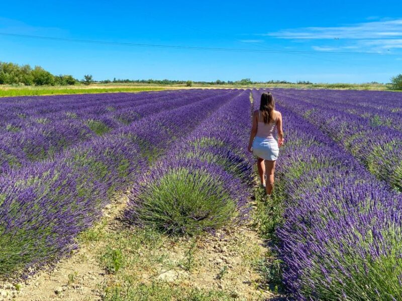 Lavender Field & Distillery Tour between Nimes & Arles - Practical Considerations & Tips