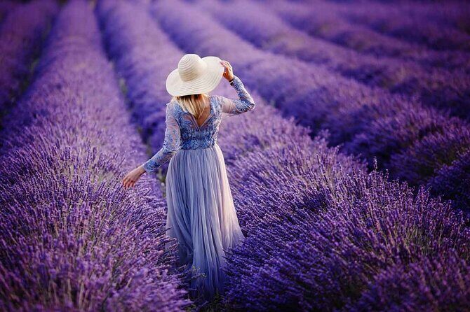 Lavender Fields Full Day Private Tour From Marseille - An In-Depth Look at the Tour Itinerary
