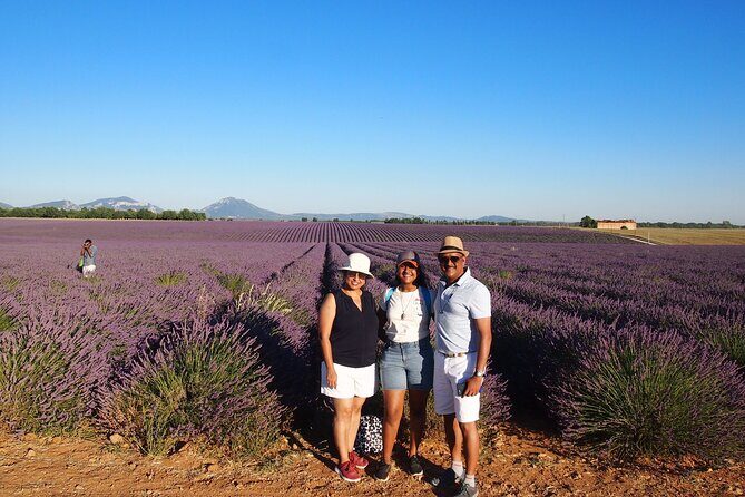 Lavender Fields Tour in Valensole from Marseille - Potential Drawbacks and Considerations