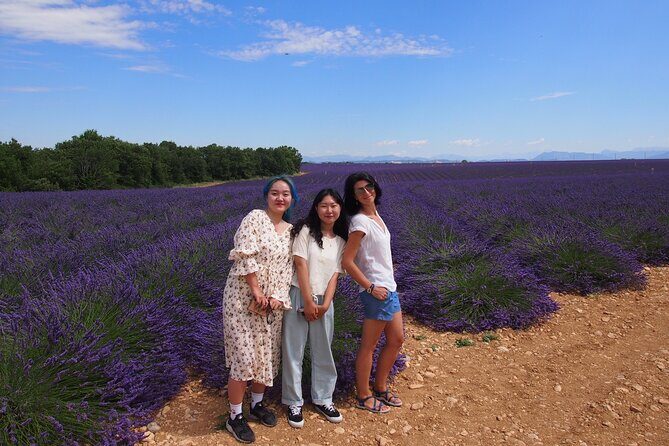 Lavender Fields Tour in Valensole from Marseille - The Sum Up