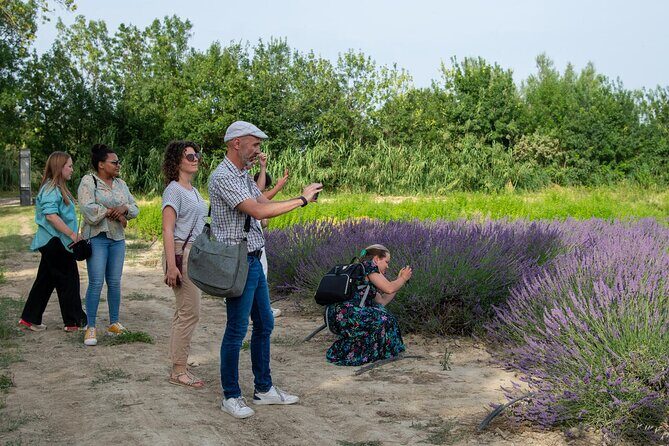 Lavender Harvesting and Distillation Workshop in Bellegarde - Introduction