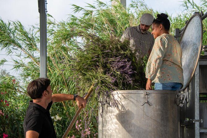 Lavender Harvesting and Distillation Workshop in Bellegarde - Final Word  