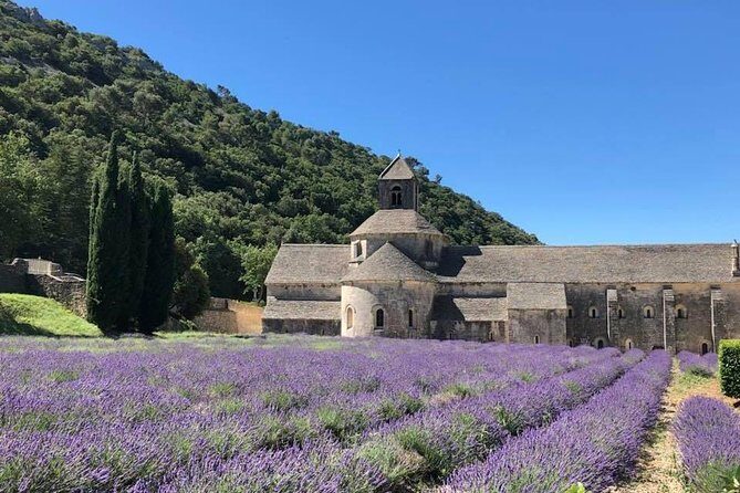 Lavender in Bloom : Unforgettable Provençal Stroll - Exploring the Tour Itinerary in Detail