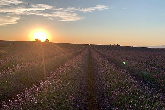 Lavender in Bloom : Unforgettable Provençal Stroll - Frequently Asked Questions