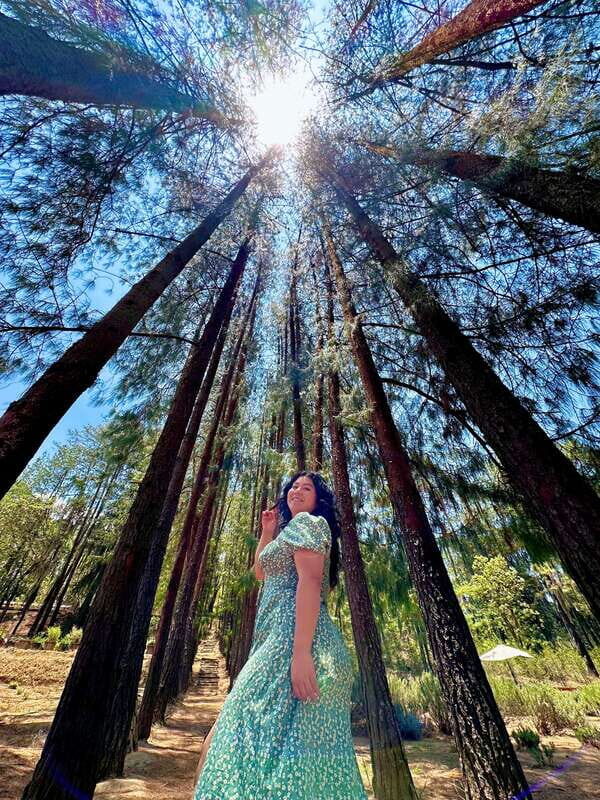 Lavender Ranch, Chautla and Val`Quirico. - A Practical Overview of the Tour