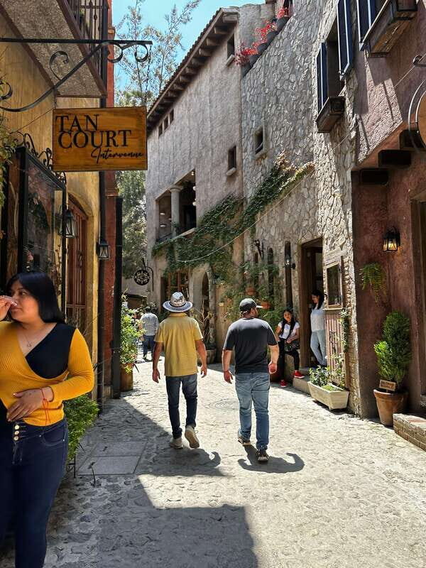 Lavender Ranch, Chautla and Val`Quirico. - The Value Proposition