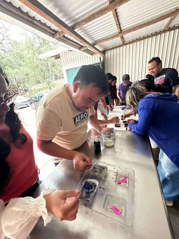 Lavender Ranch, Chautla and Val`Quirico.