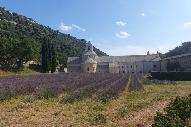 Lavender Tour Sault from Marseille - Authentic Experiences and Insights from Reviews
