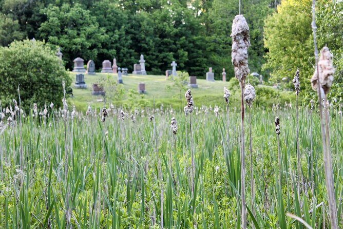 Layers of Natural History: Picton Nature Self-Guided Audio Tour - FAQ
