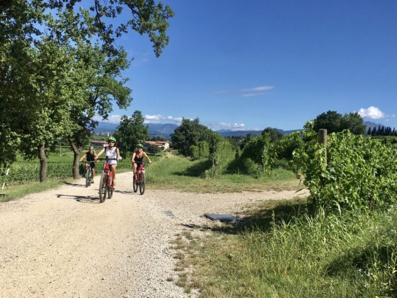 Lazise: Bike Tour and Wine Tasting - Who Will Love This Experience?