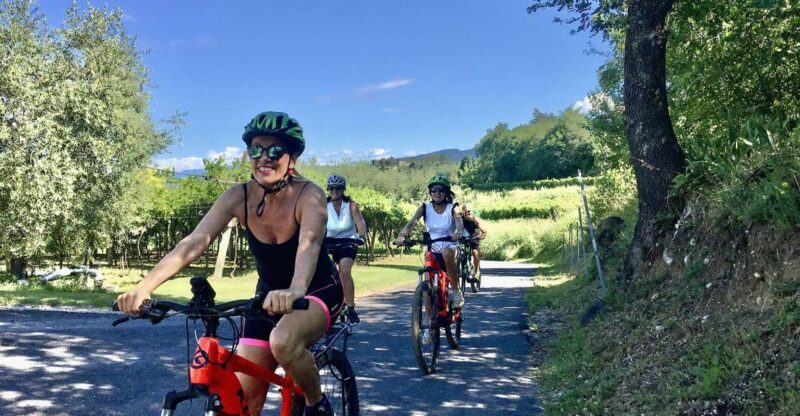 Lazise: Bike Tour and Wine Tasting - The Sum Up