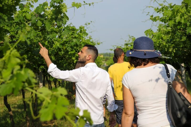 Lazise: Biodynamic Farm Tour and Natural Wine Tasting - Key Points